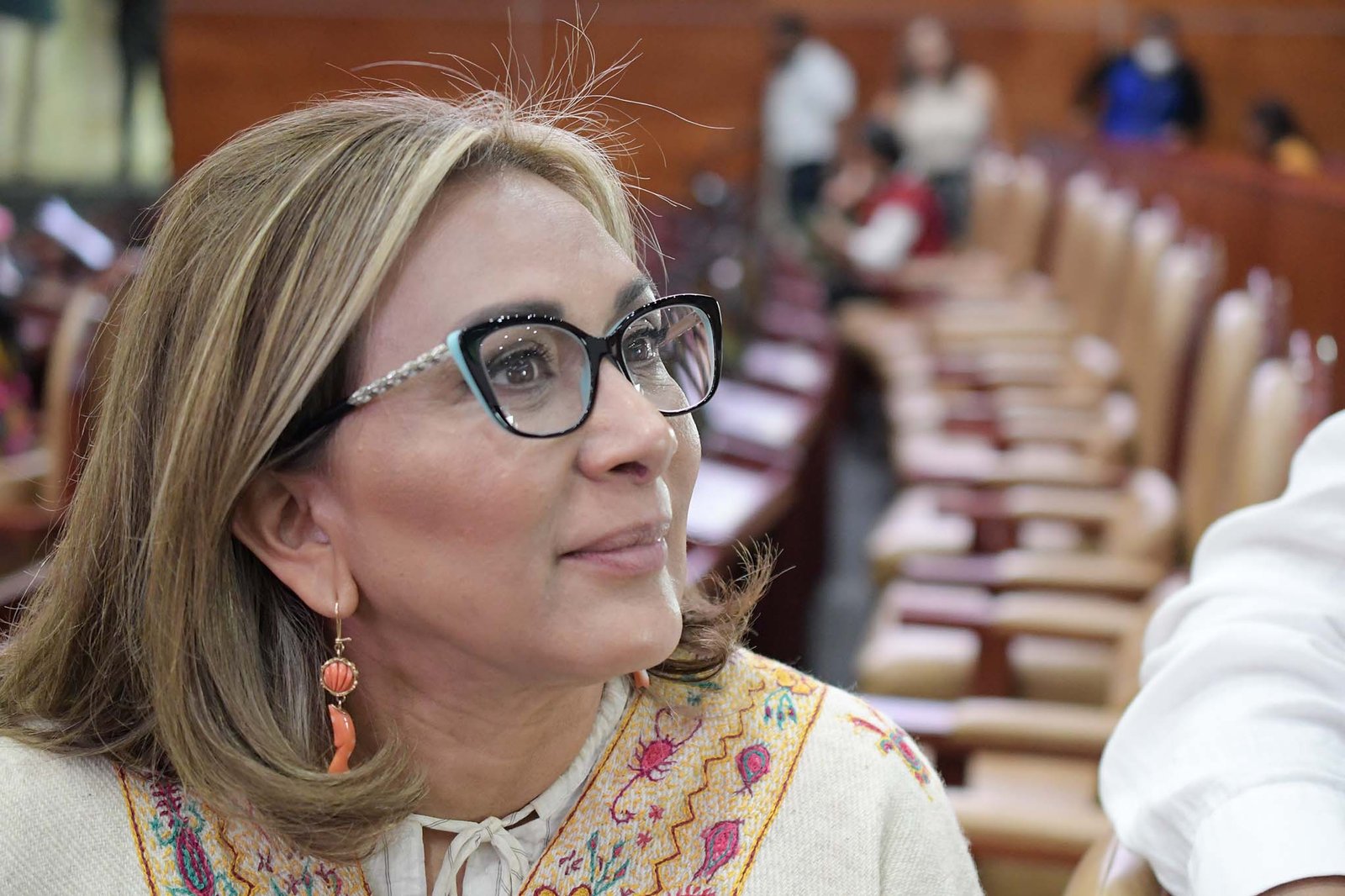 «Violentadores no le hacen bien a su gobierno», diputada Cony Rueda al ...